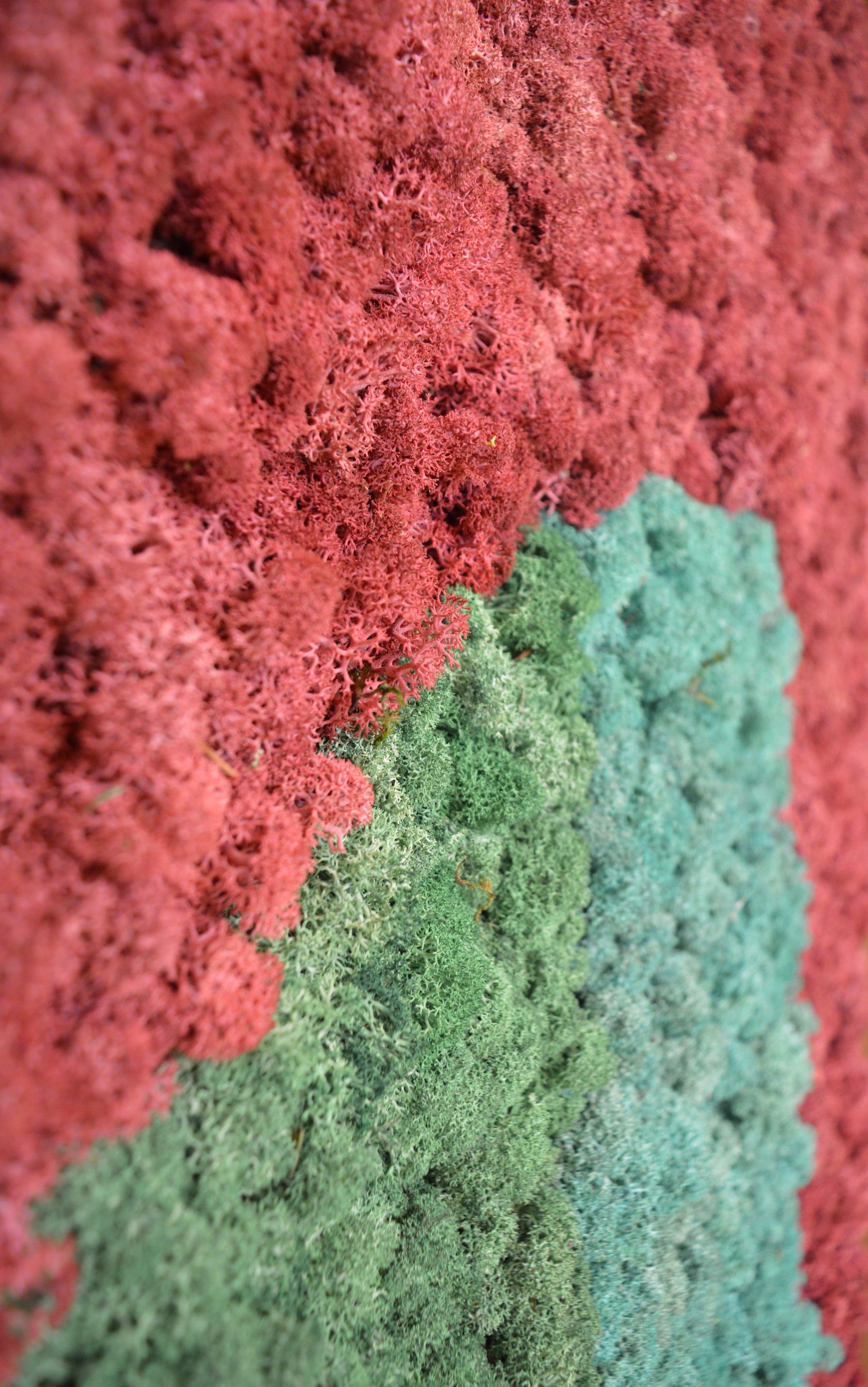 FRAMED LANDSCAPE Panel acústico de pared de musgo By GREENMOOD | design ...