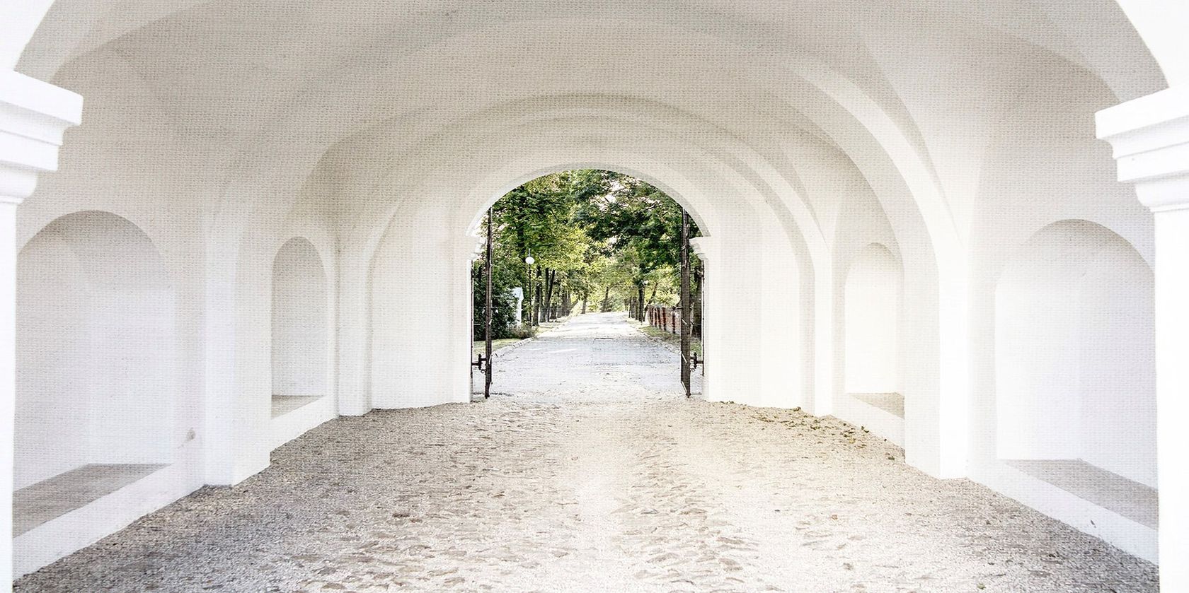 FREEDOM Wallpaper By Creativespace