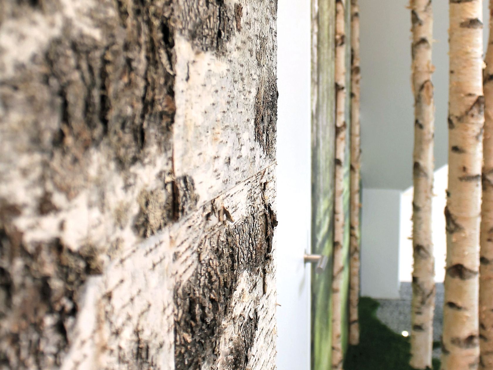 BIRCH BARK WALL PANELS Birch tree bark wall tiles By Freund GmbH