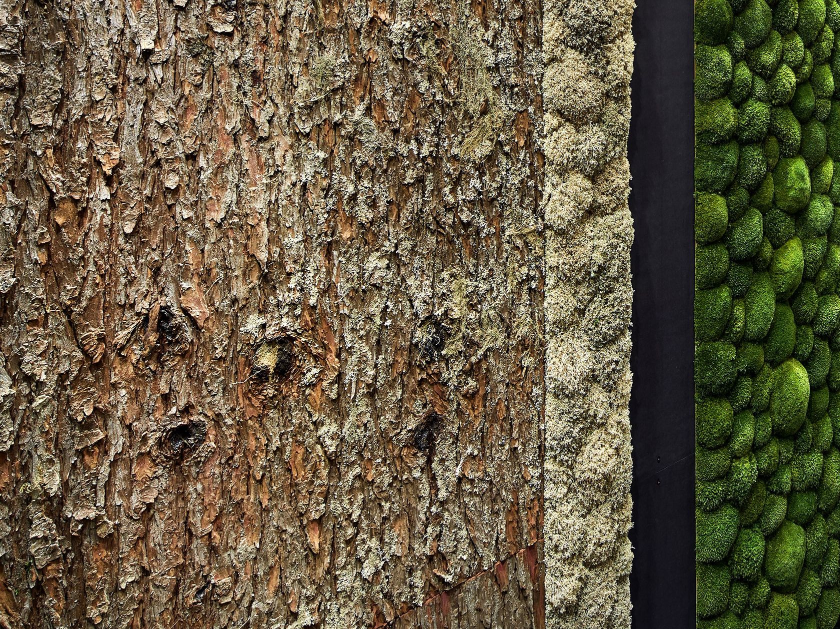 LARCH BARK WALL PANELS Larch bark wall tiles By Freund GmbH