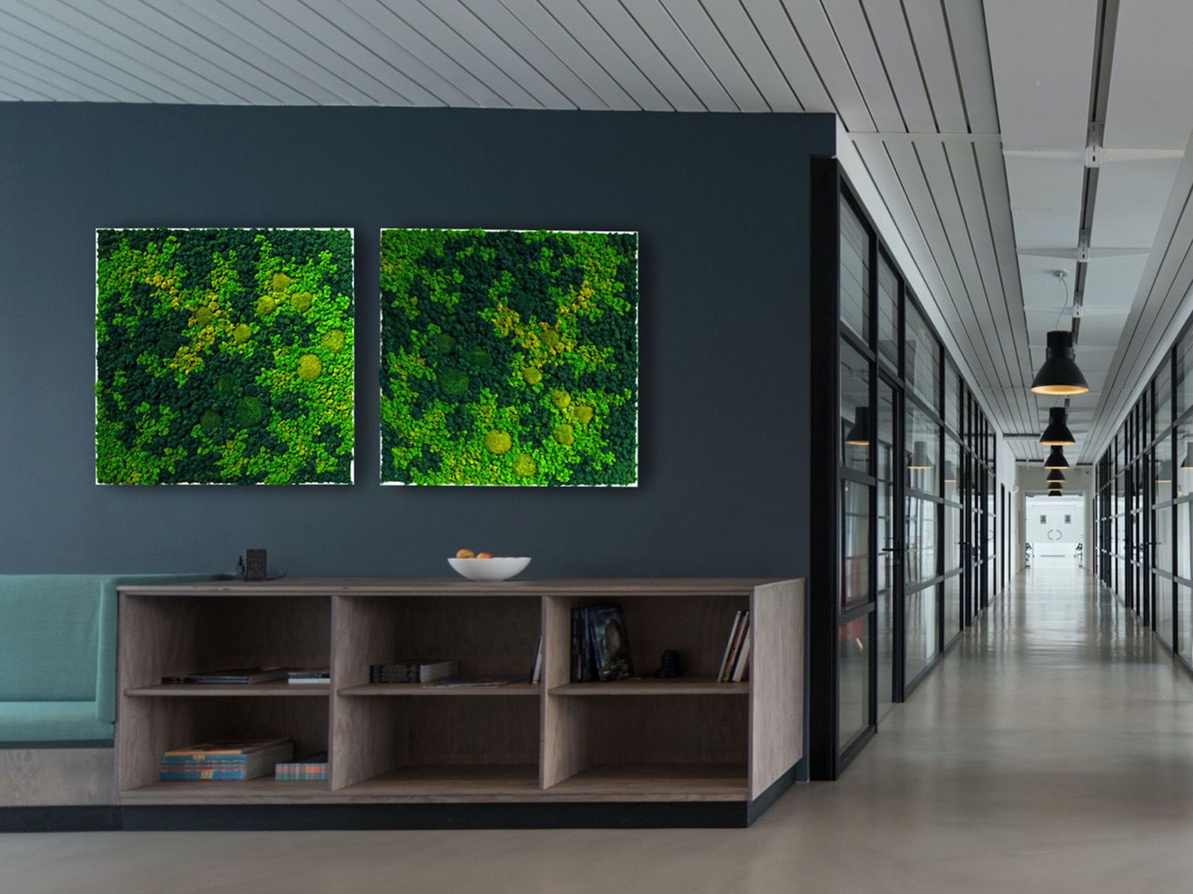 MOSS WALL EVERGREEN PREMIUM Moss Wall By Freund GmbH