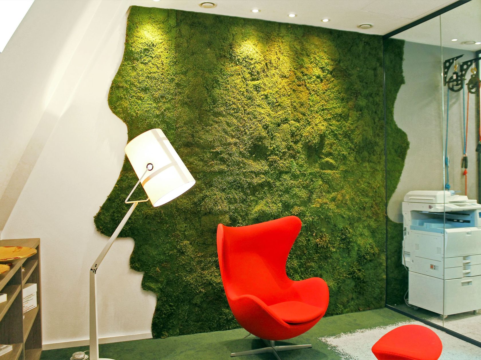 MOSS WALL EVERGREEN PREMIUM Moss Wall By Freund GmbH