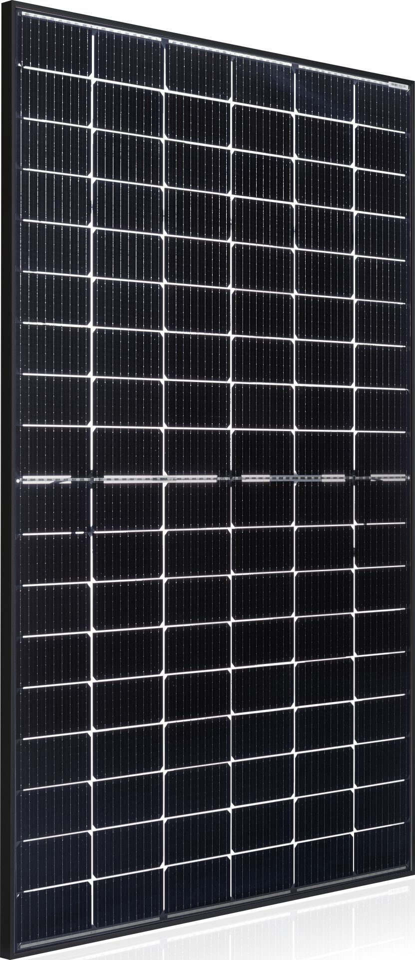 SILK® PLUS DUETTO TRANSPARENT Glass glass photovoltaic module By FuturaSun