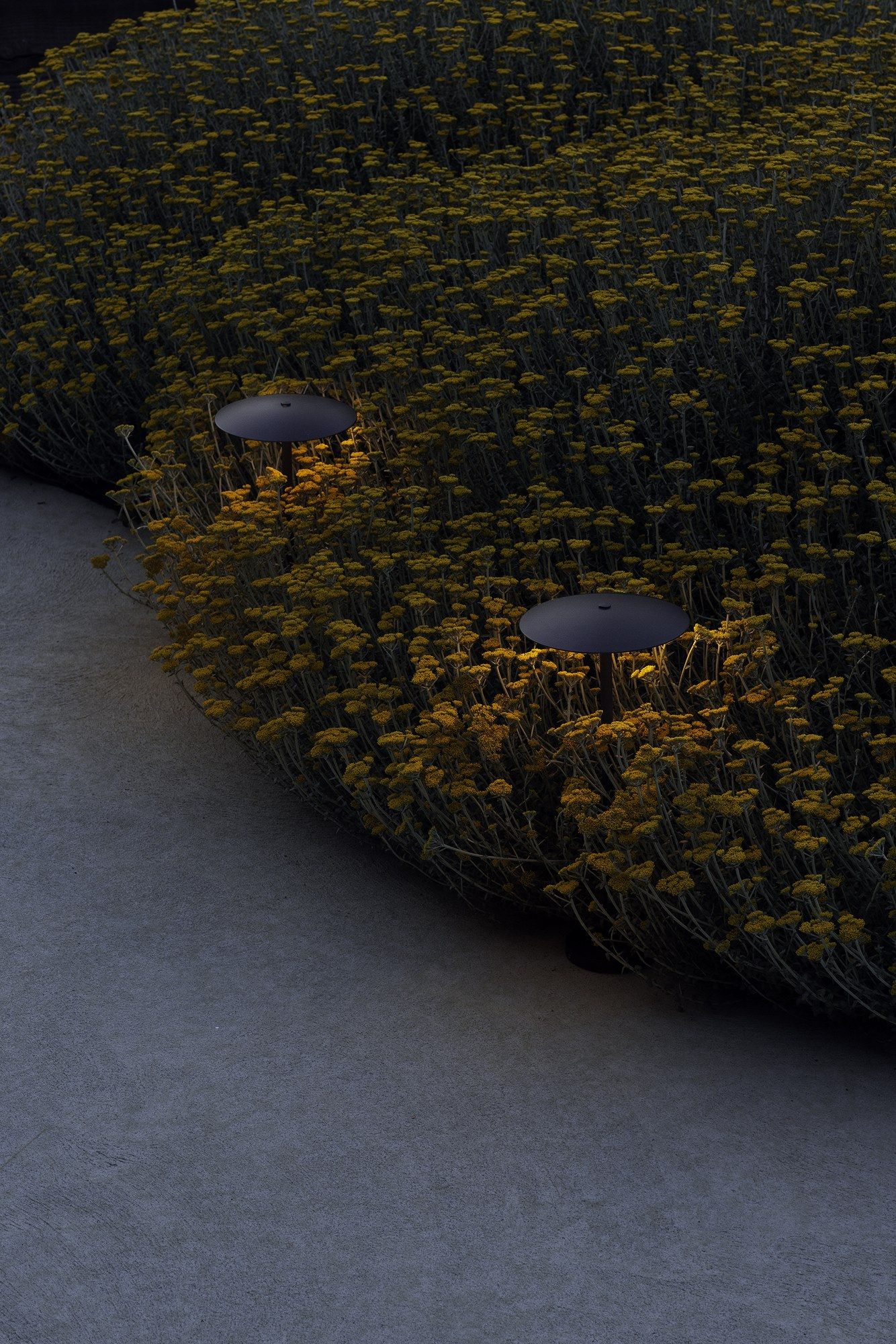 GINGER | Floor lamp Floor lamp By Marset | design Joan Gaspar