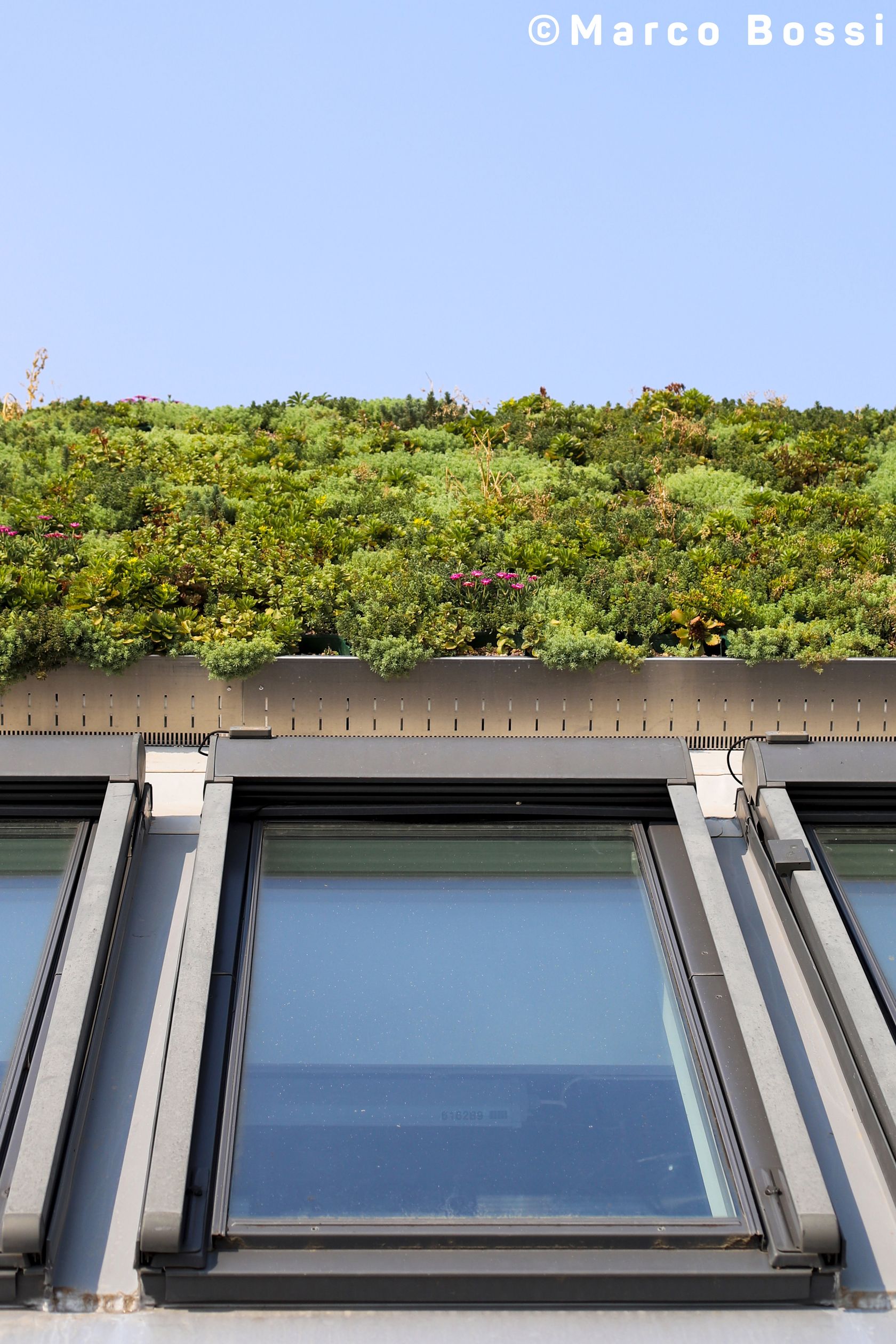 GREEN ROOF Roof garden system By ISOPAN