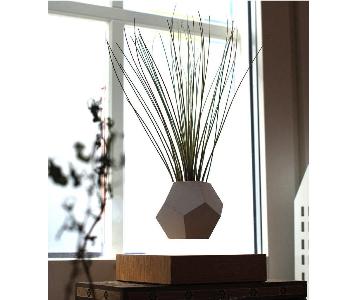 LYFE PLANTER By FLYTE