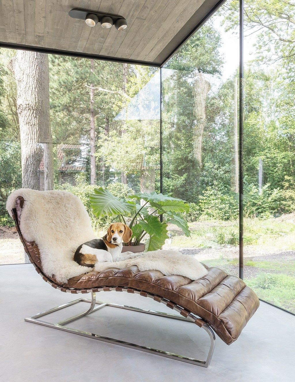 MARBUL x3 LED ceiling spotlight By Modular Lighting Instruments