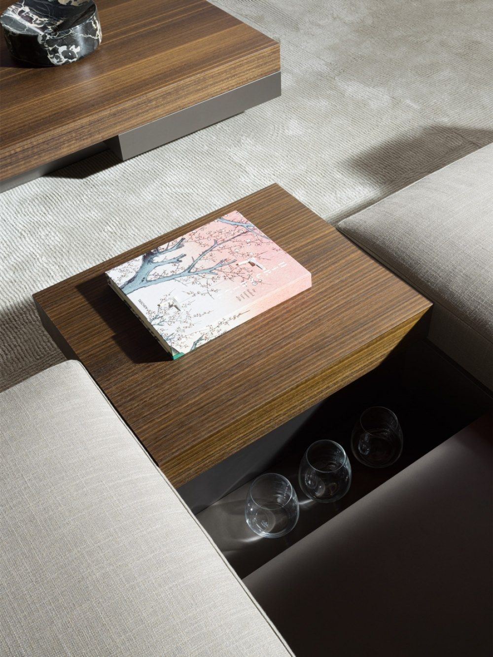 MARTEEN Low wooden coffee table By Molteni & C. | design Vincent Van Duysen