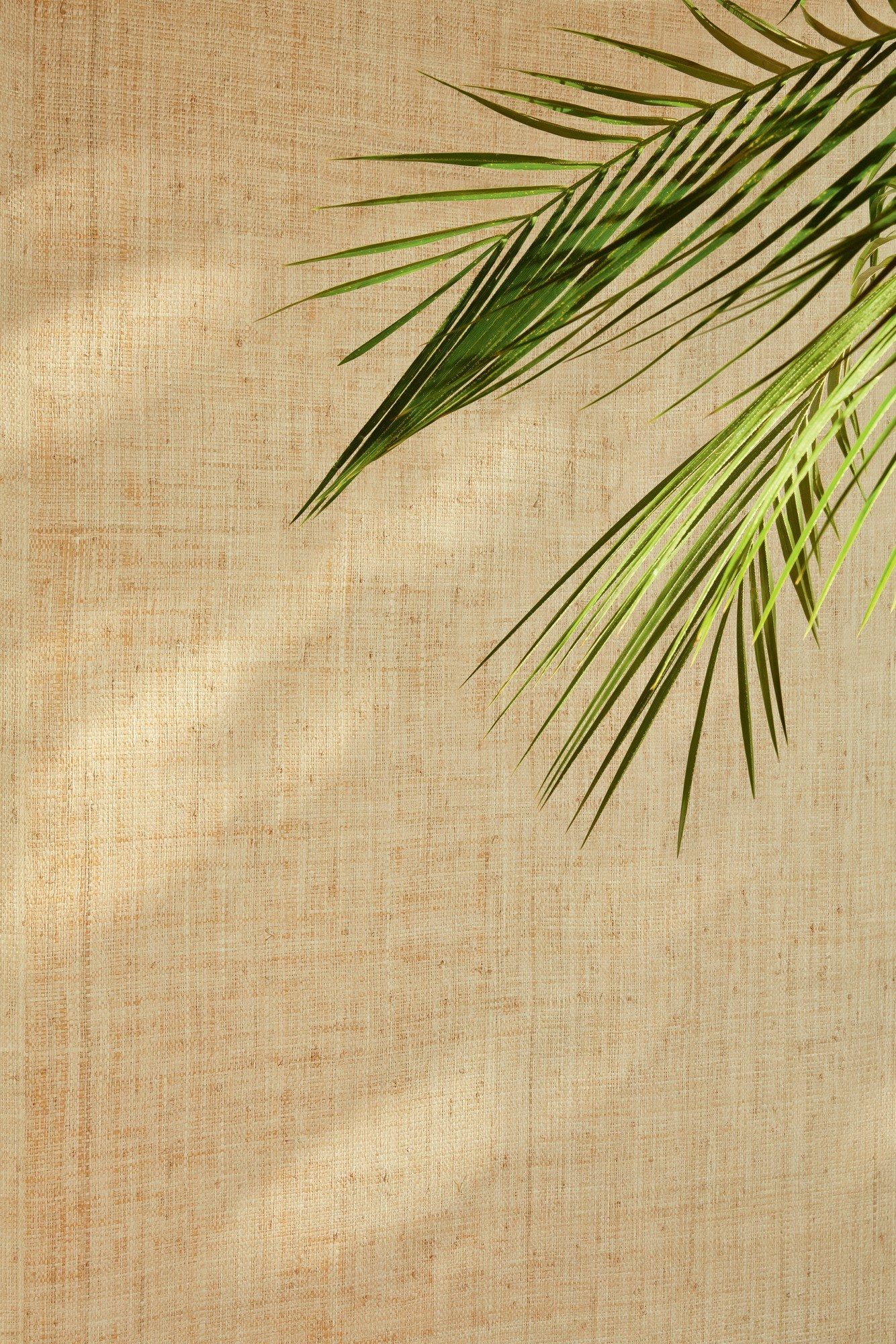 Solid-color raffia wall fabric MERIDA - CESTERIA Merida Collection By ...