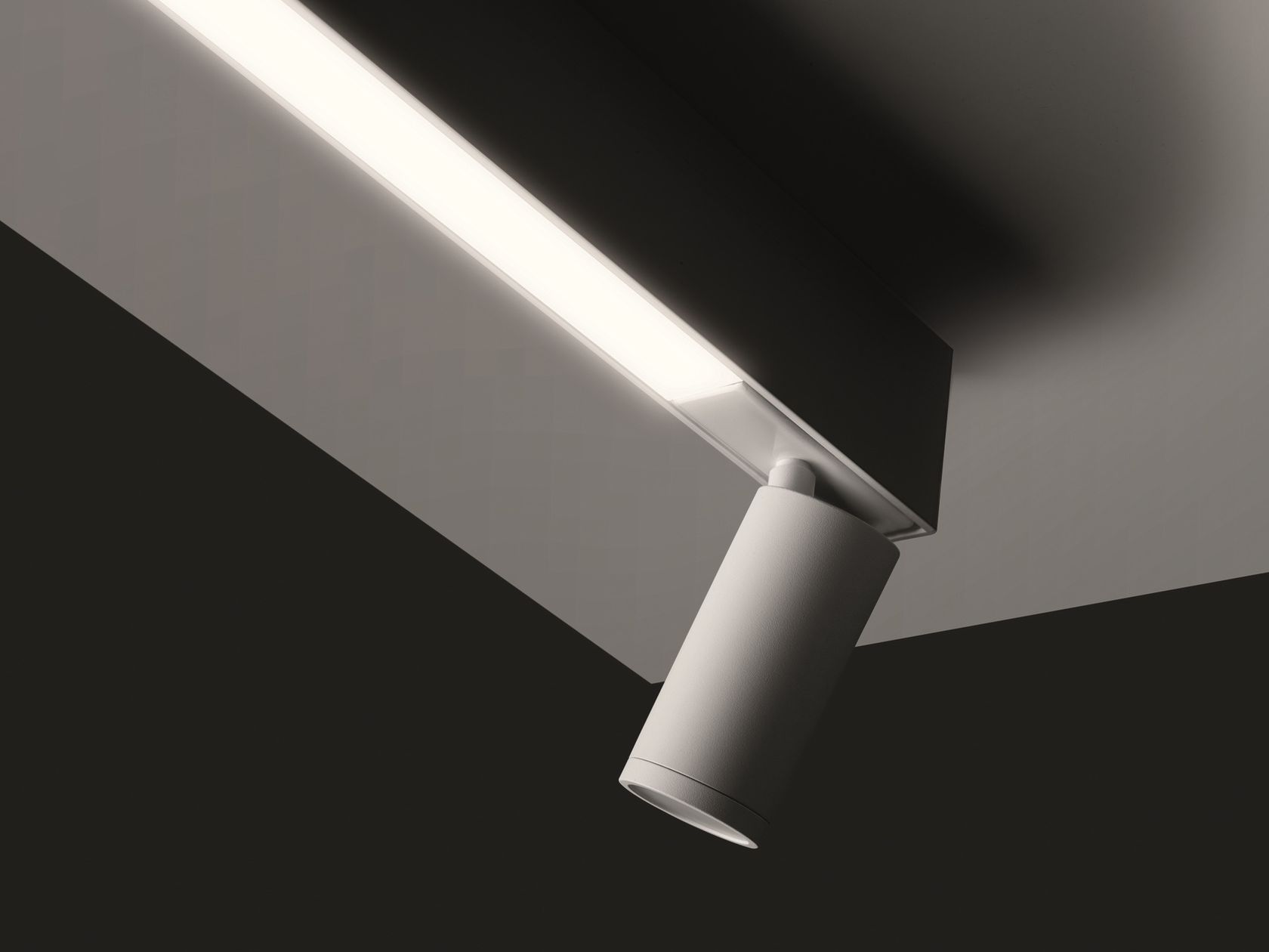 NEWTON RAIL Track-Light By EGOLUCE