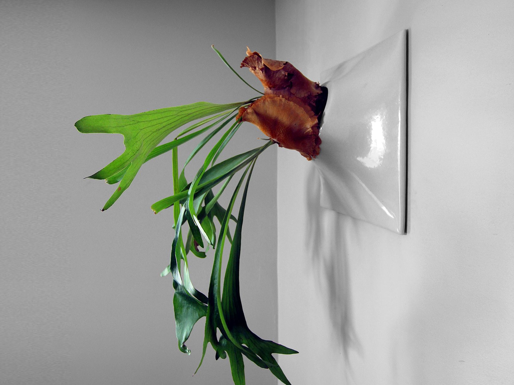 Modular ceramic wall planter NODE XL Node Collection By Pandemic Design ...