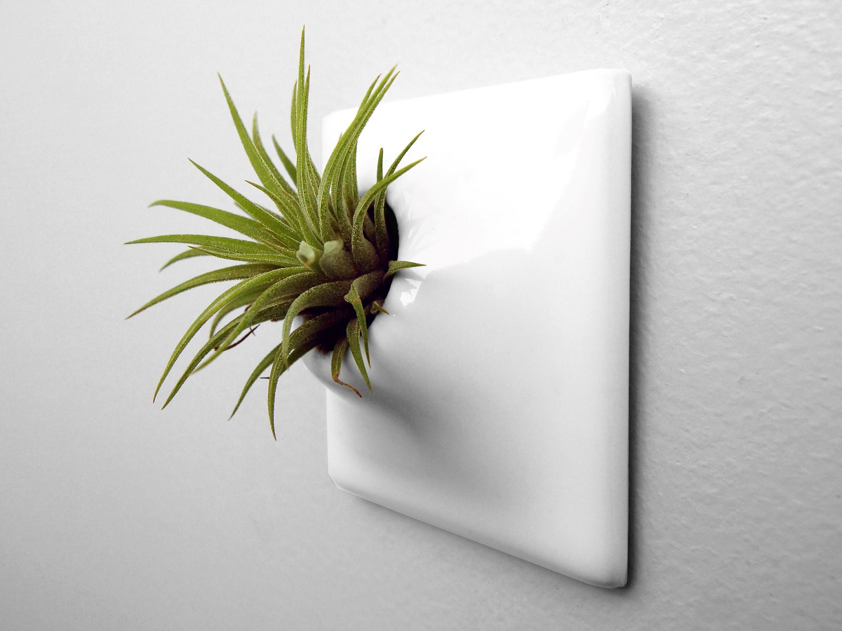 Modular ceramic wall planter NODE XS By Pandemic Design Studio design ...