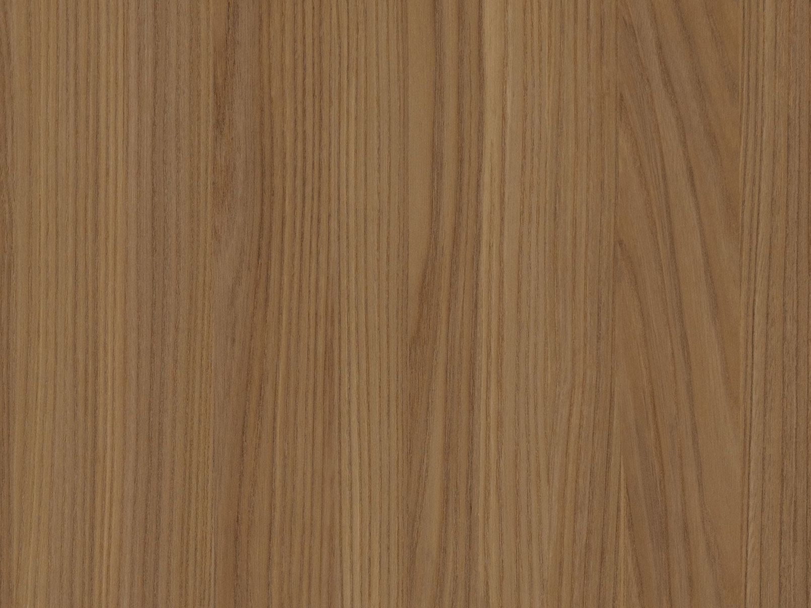 Decorative laminates OLMO RODI WOODS Collection By LAMITEX