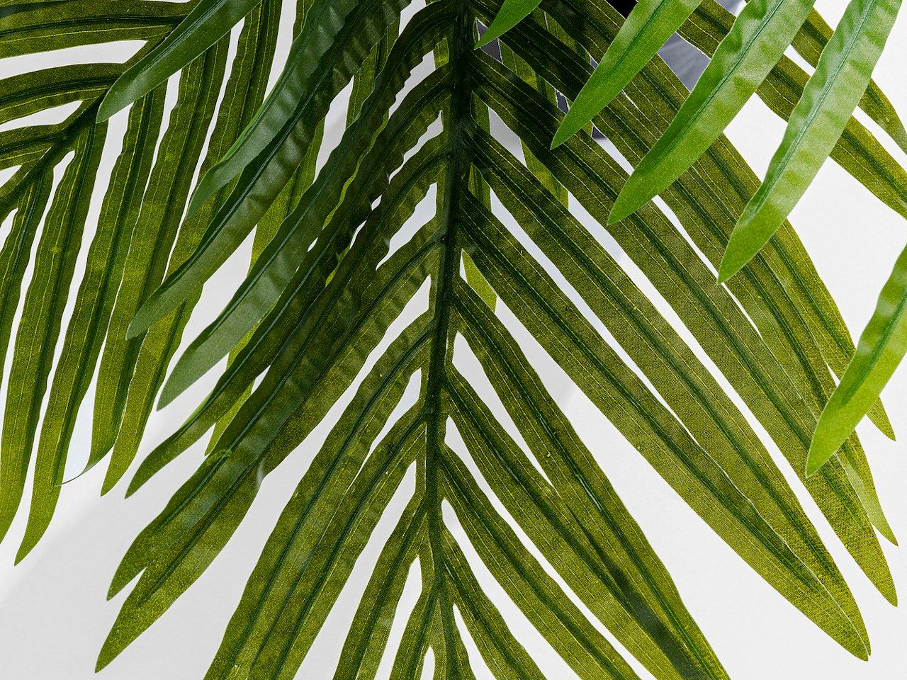 Artificial plant PALM TREE By KARE Design