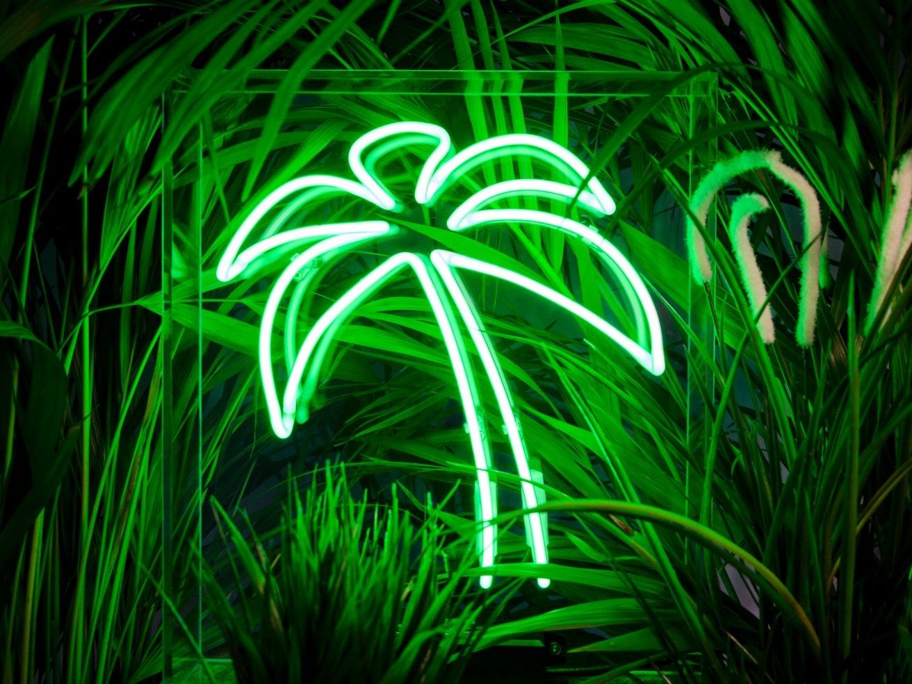 Neon table lamp PALM TREE By sygns