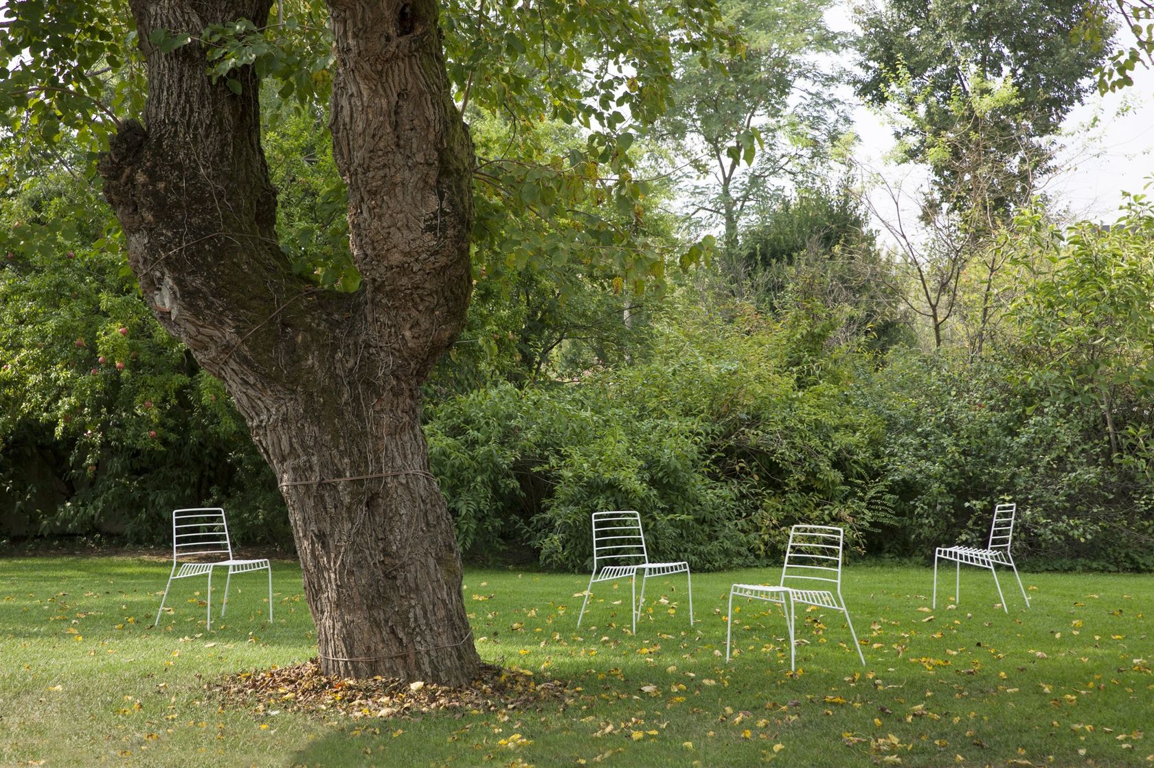 Stackable steel chair PARK By B-LINE design Eva Paster, Michael Geldmacher