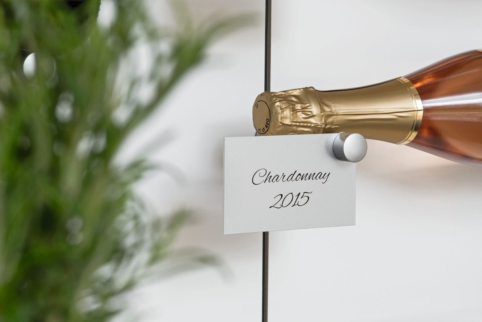 PIN WINE System for the arrangement of bottles By SALICE