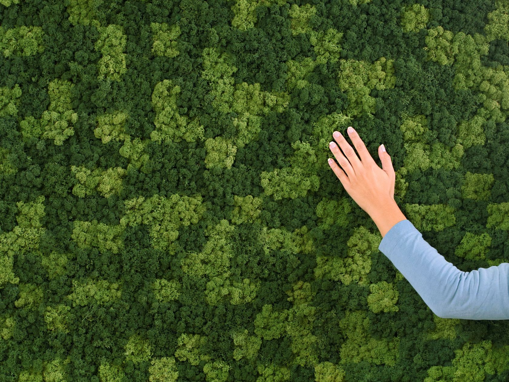 PIXEL Indoor Moss vertical garden By Nordgröna