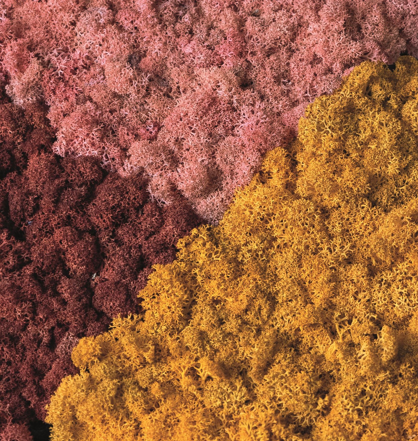 PIXEL Indoor Moss vertical garden By Nordgröna