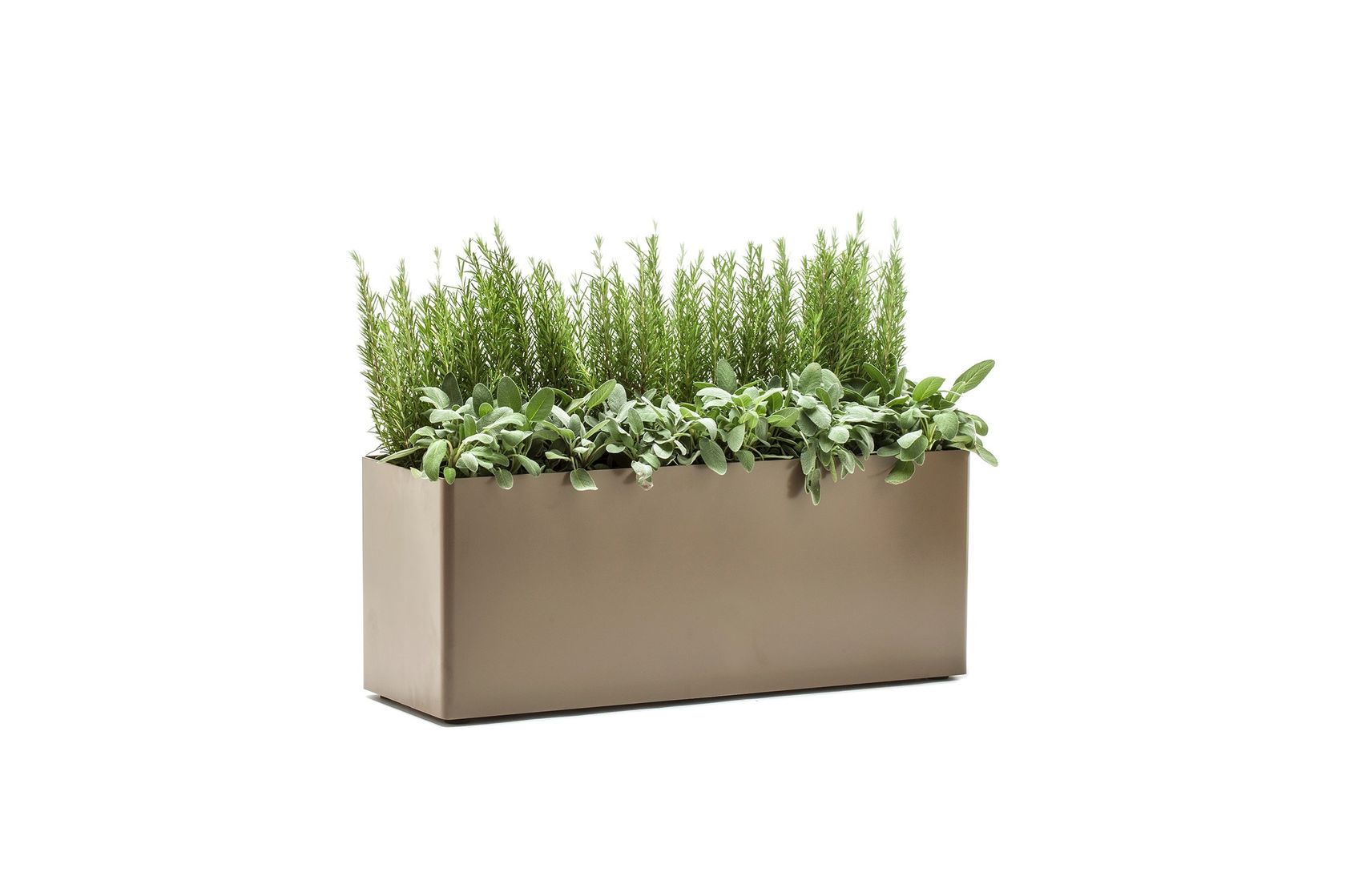 Stainless steel planter RADIUS By BLOSS