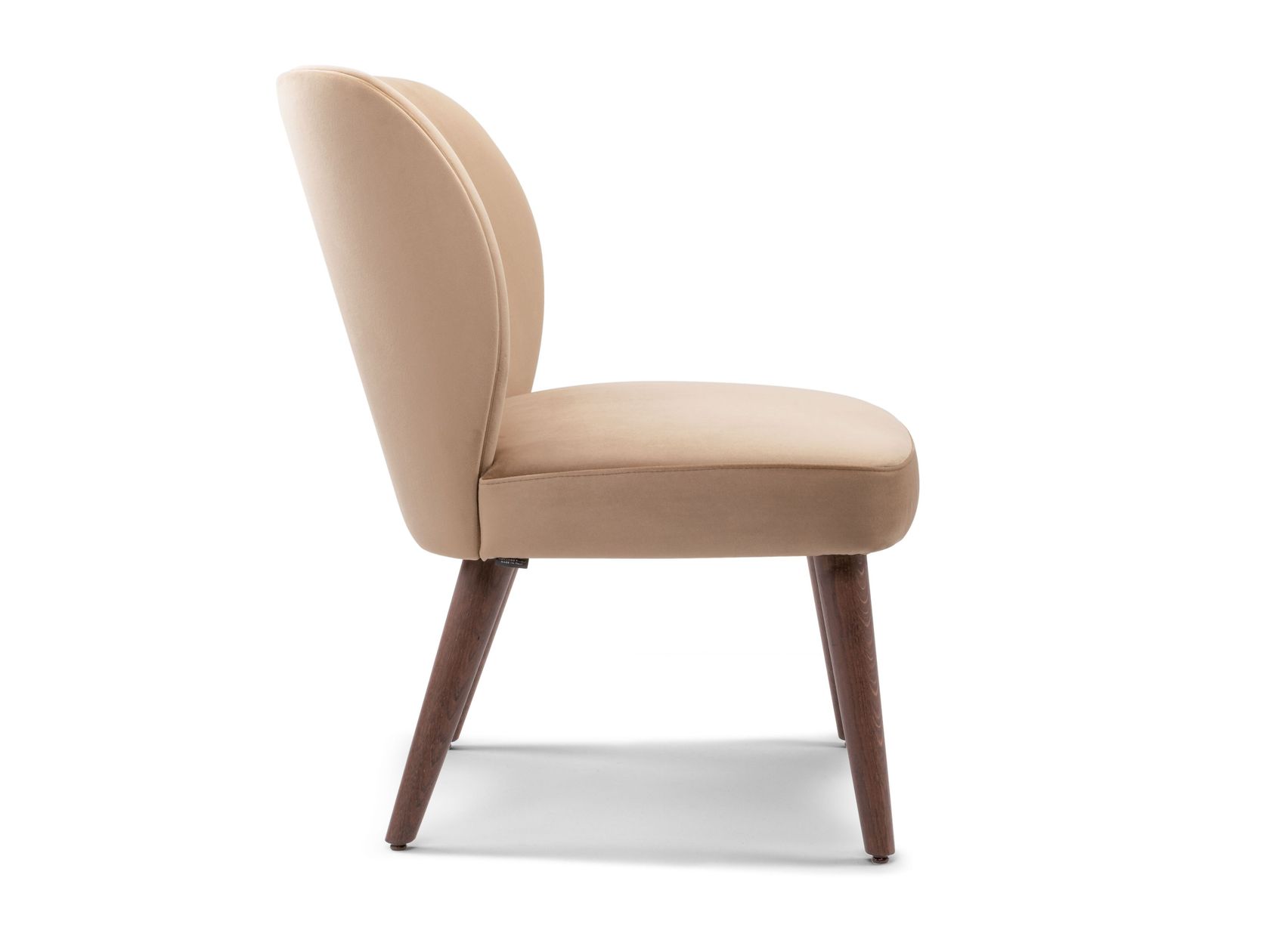 TIFFANY LOUNGE | Armchair Ash armchair By Riccardo Rivoli