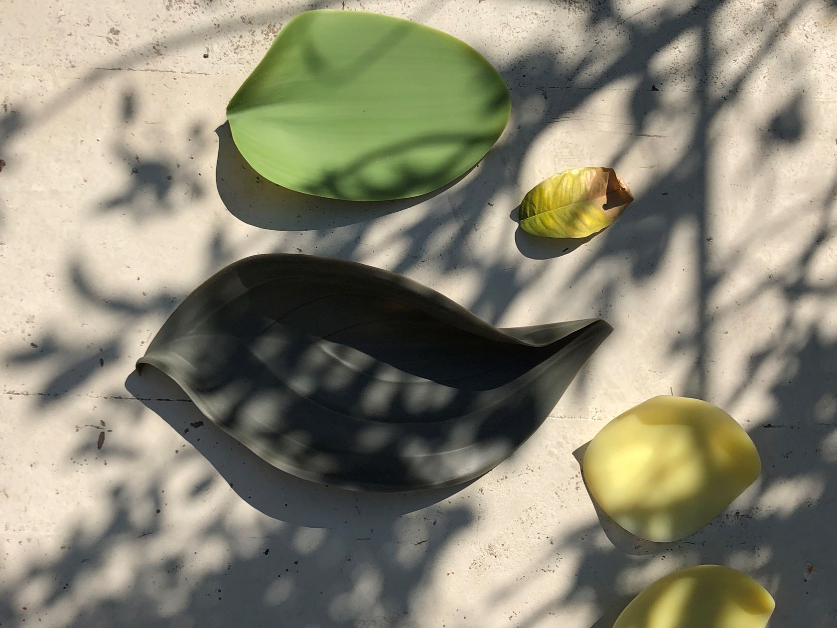 SEASONS plate By COVO design Nao Tamura