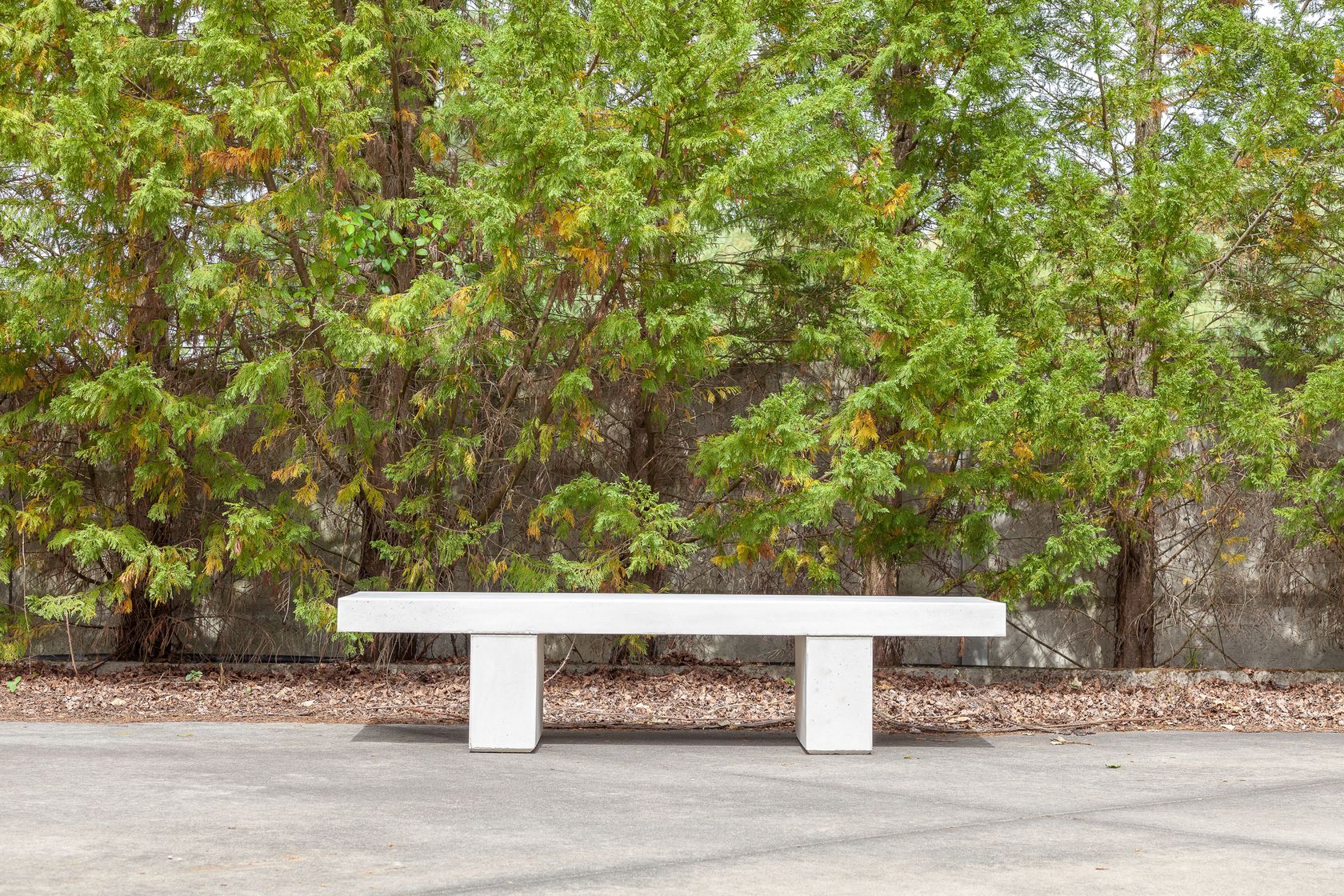 ROOT Bench By SIT