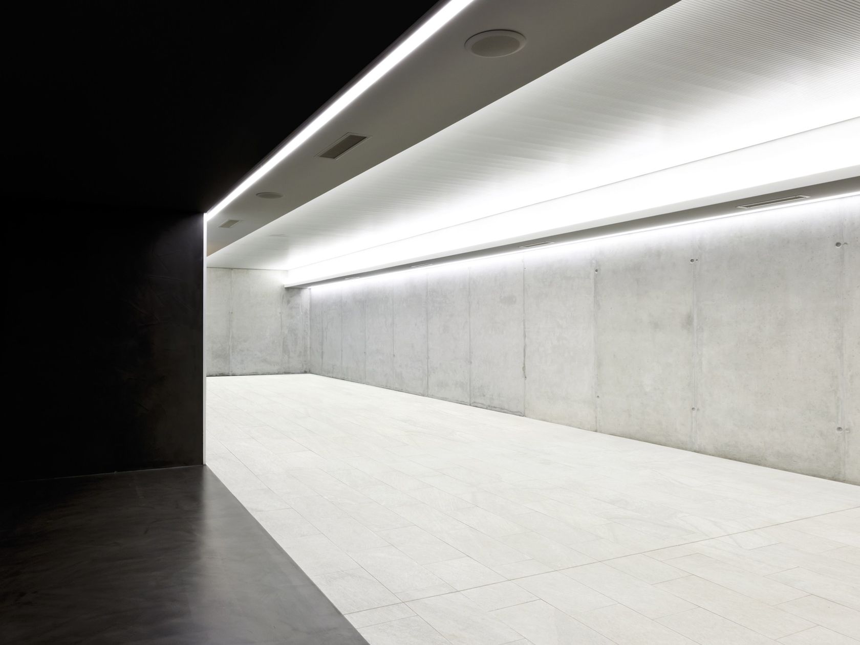 Striscia LED STRIP LED By Flexlite