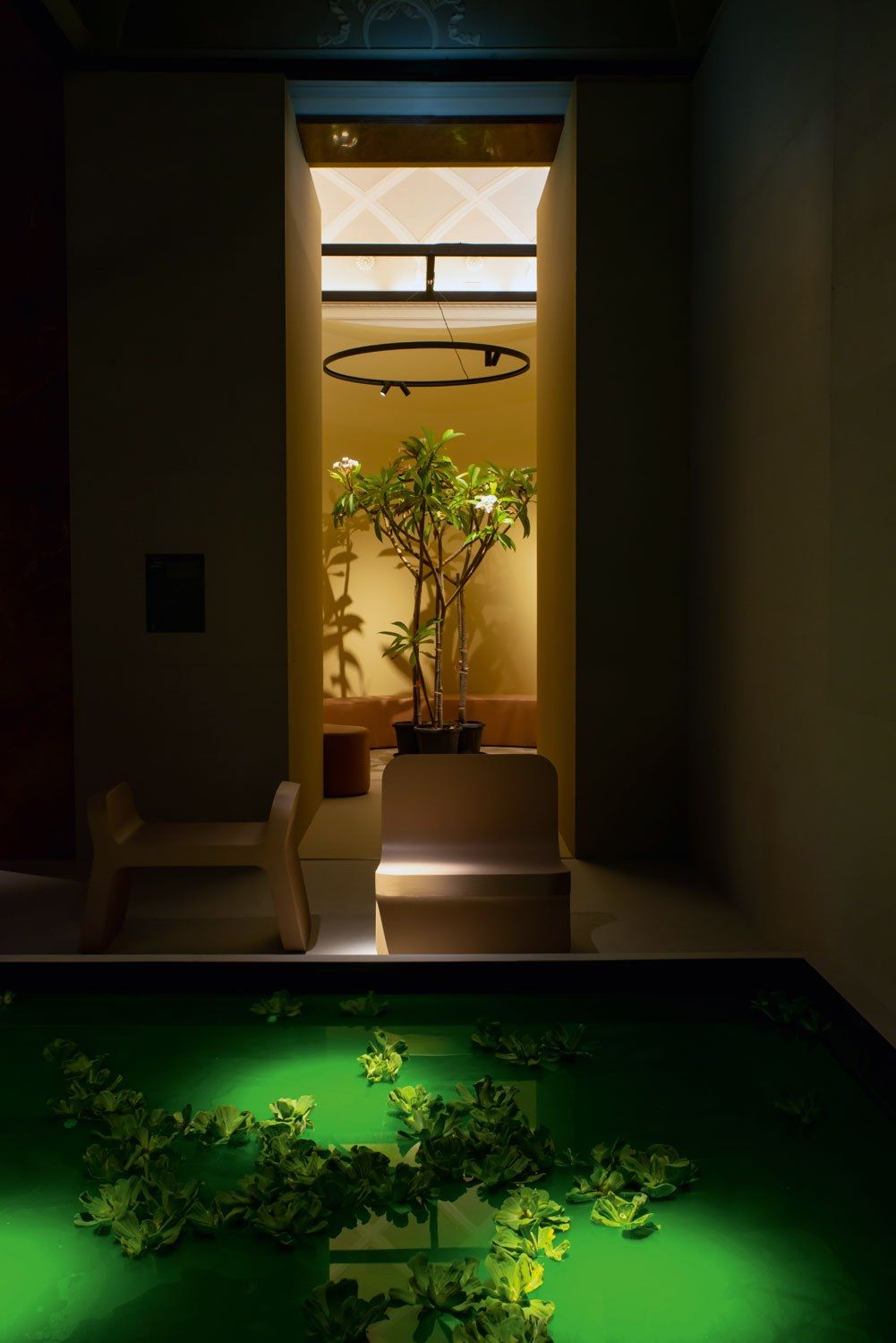 SUPERLOOP-SPY 52 MDL Track-Light By Deltalight