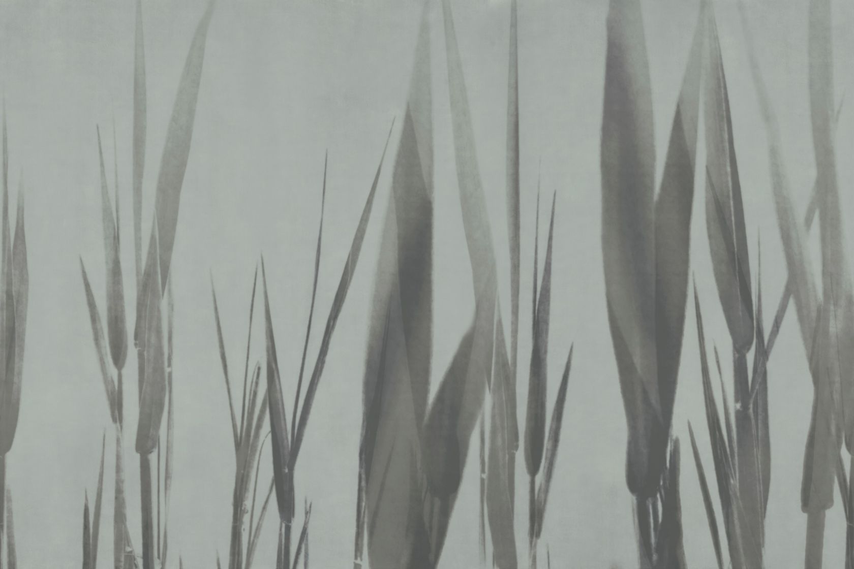 TALEA Wallpaper By GLAMORA