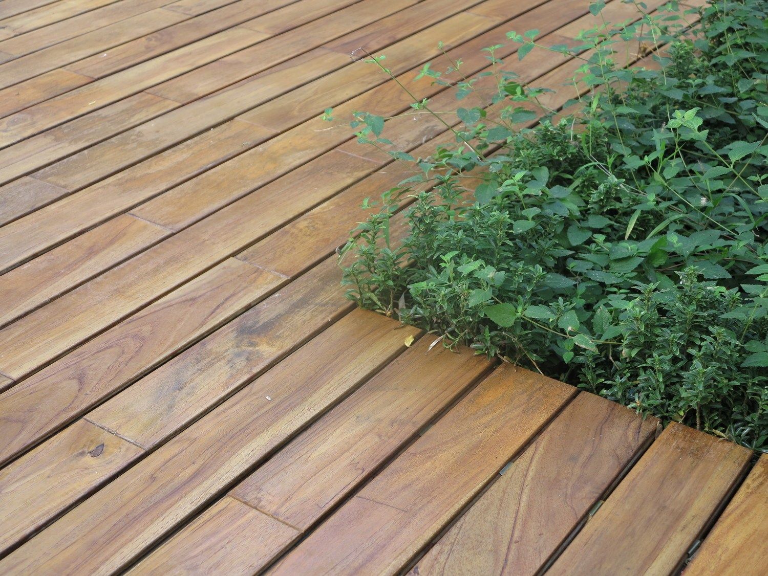 Decking | Outdoor flooring in wood and composites | Archiproducts
