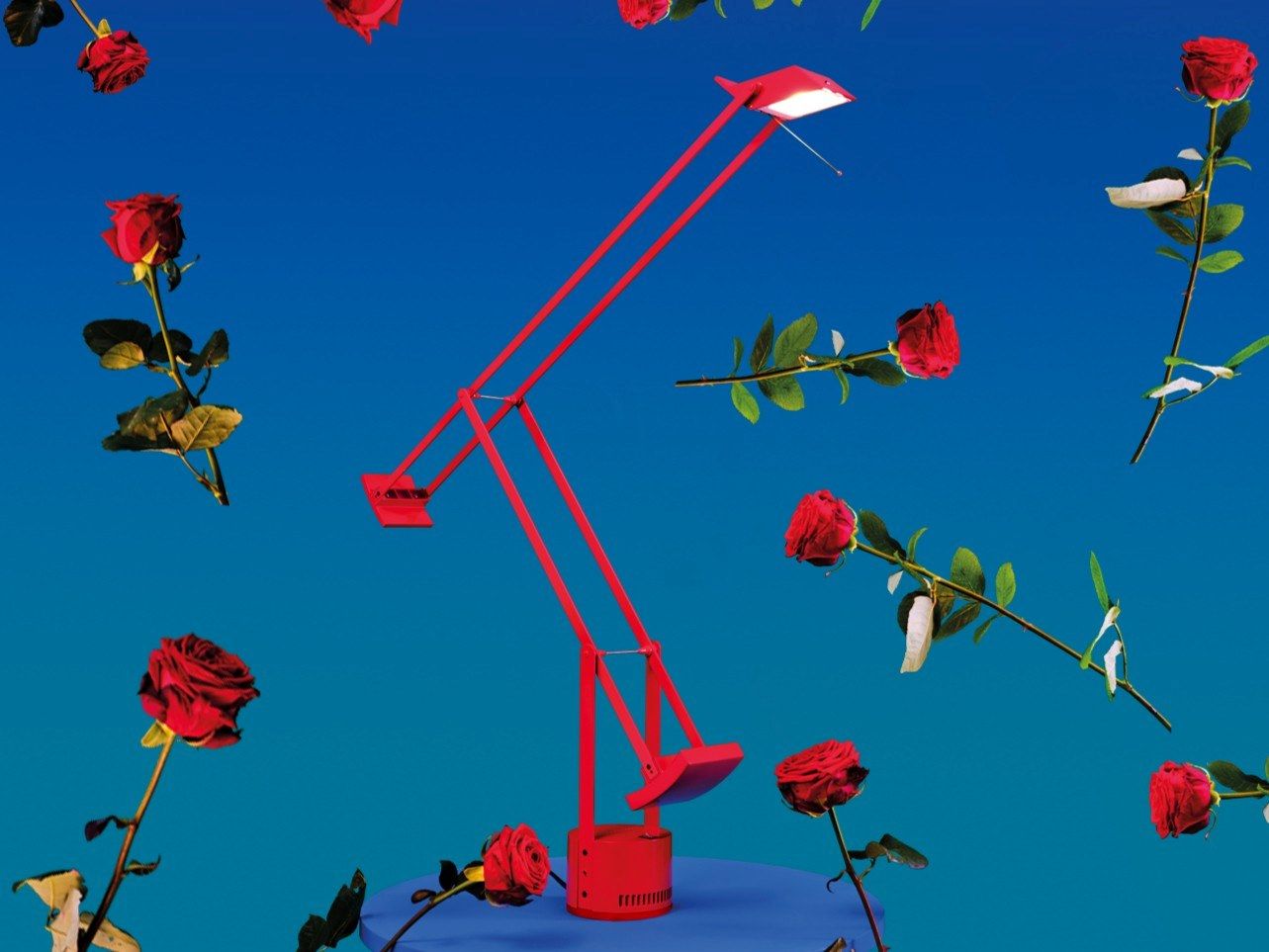 TIZIO 50th Anniversary Edition Desk lamp By Artemide | design Richard ...