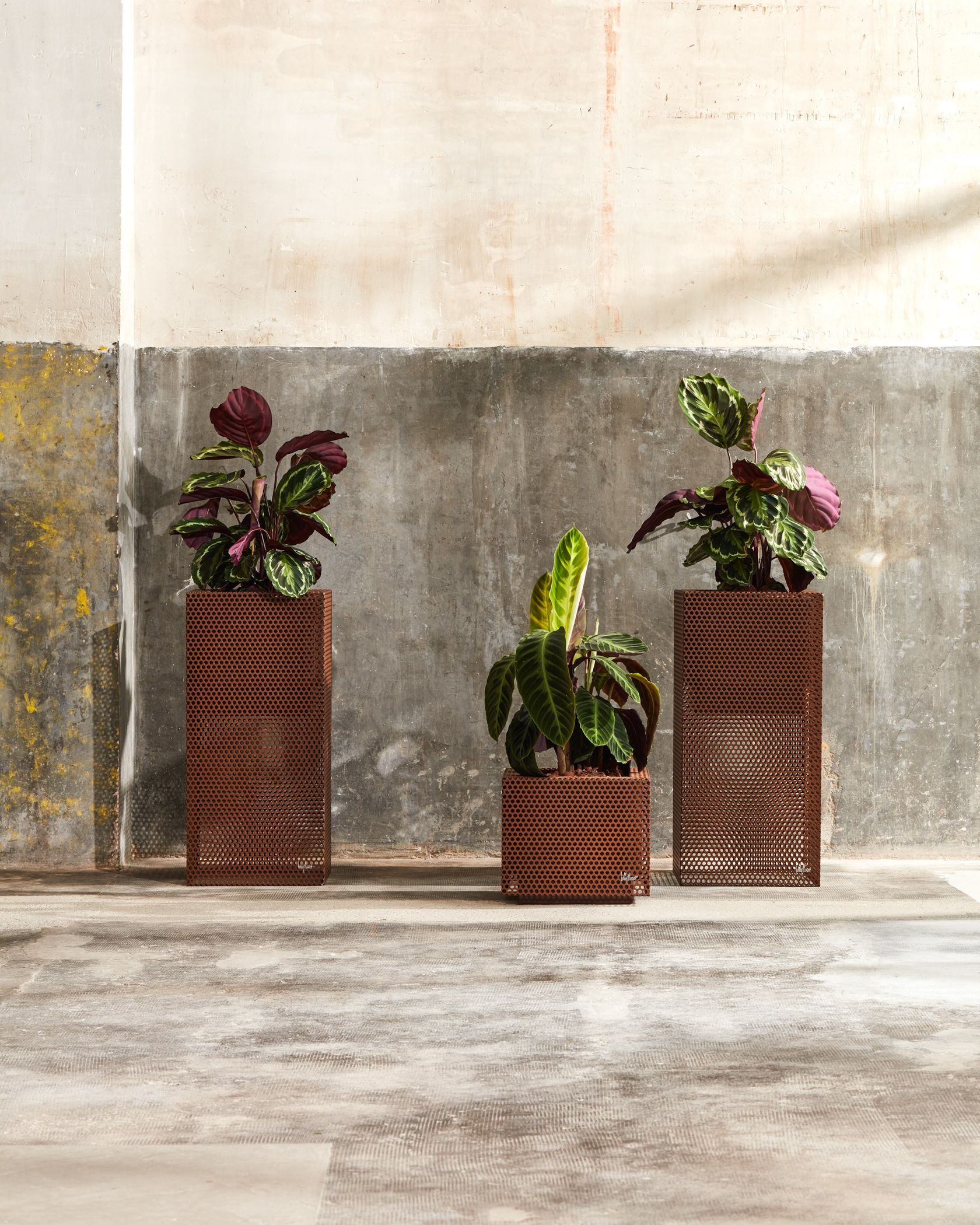 TOP | Low plant pot Low stainless steel plant pot with automatic ...