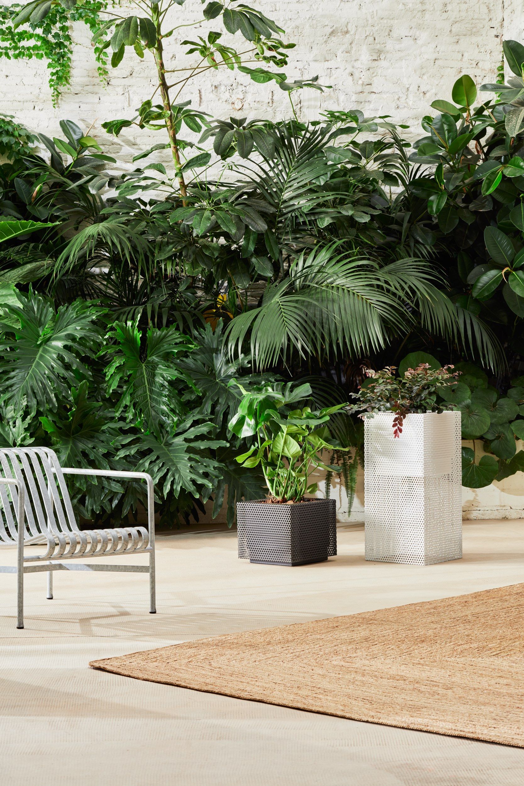 TOP | Low plant pot Low stainless steel plant pot with automatic ...