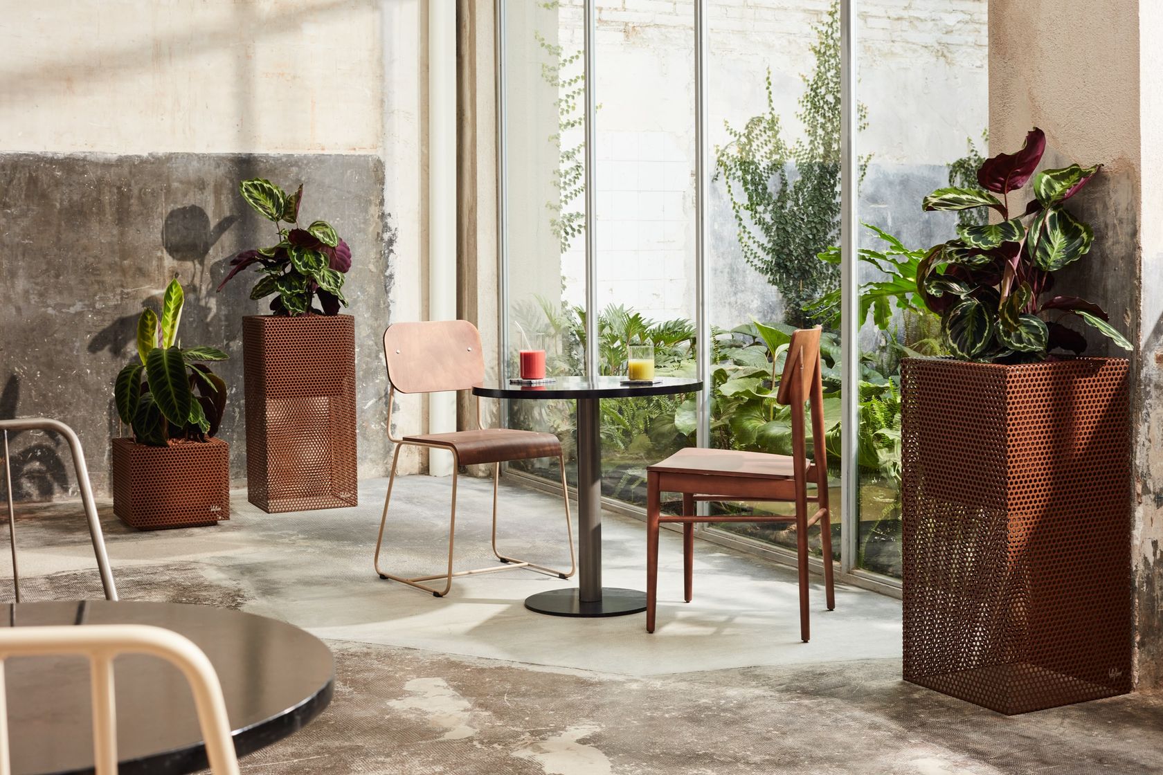 TOP | Low plant pot Low stainless steel plant pot with automatic ...