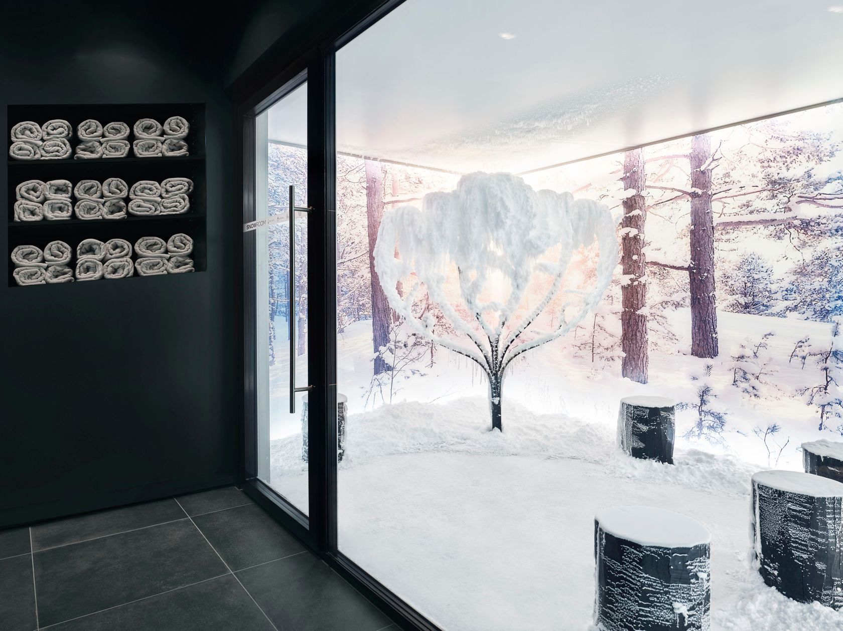 SNOWROOM ROCK DESIGN Ice cave By TechnoAlpin Indoor