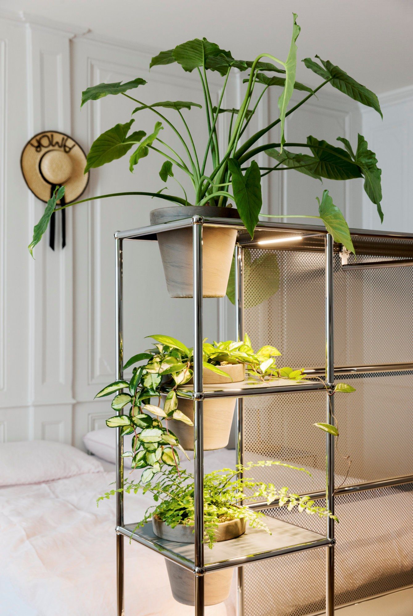 WORLD OF PLANTS FOR USM HALLER | Wardrobe By USM