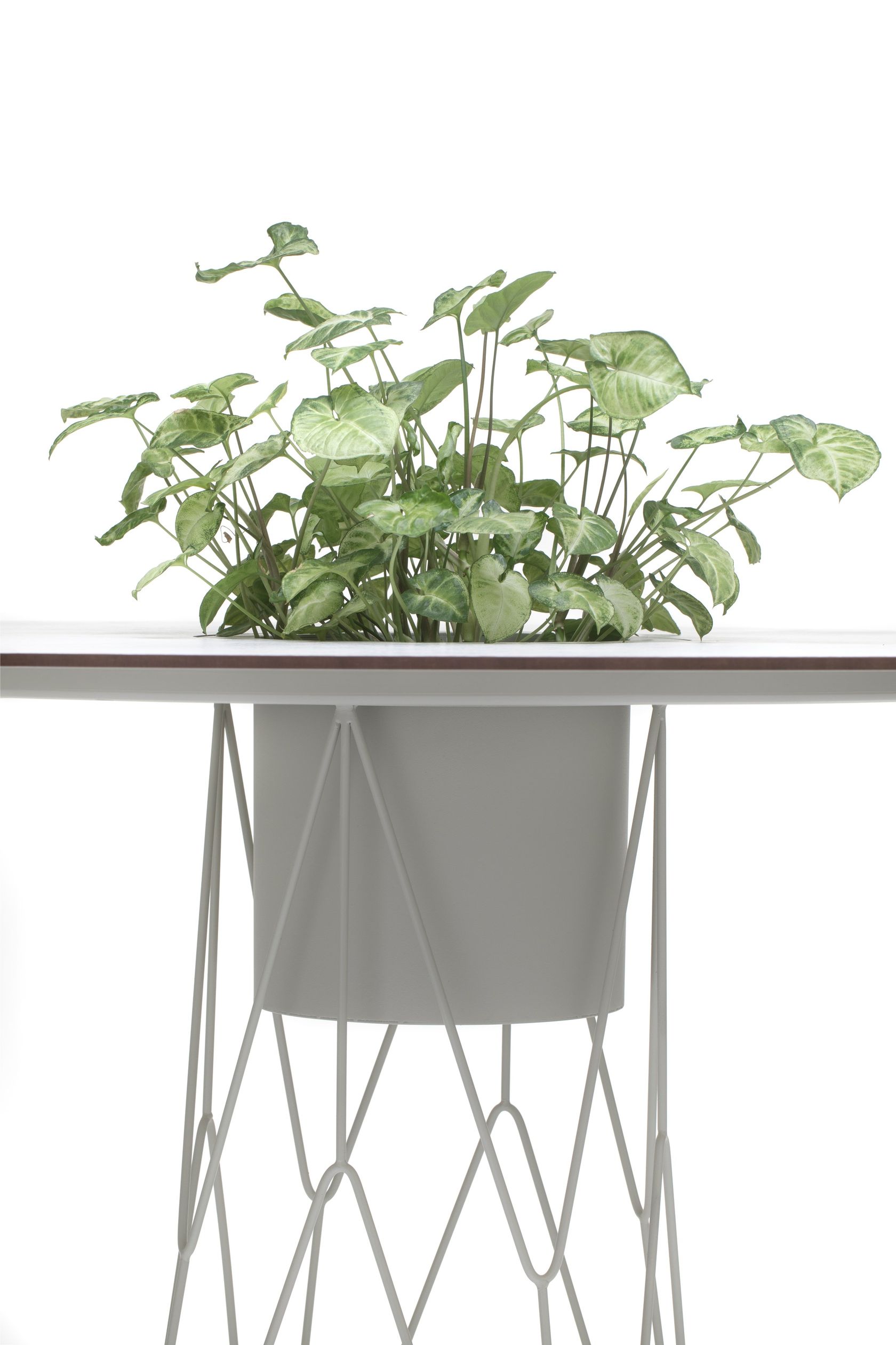 ATAMAN MESH | Round table Ataman Collection By Garda Furniture design ...