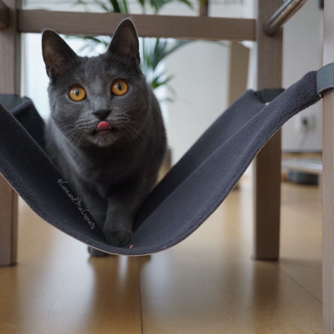 CHAIR HANGING MATS | Synthetic fibre cats hammock By Saveplace®