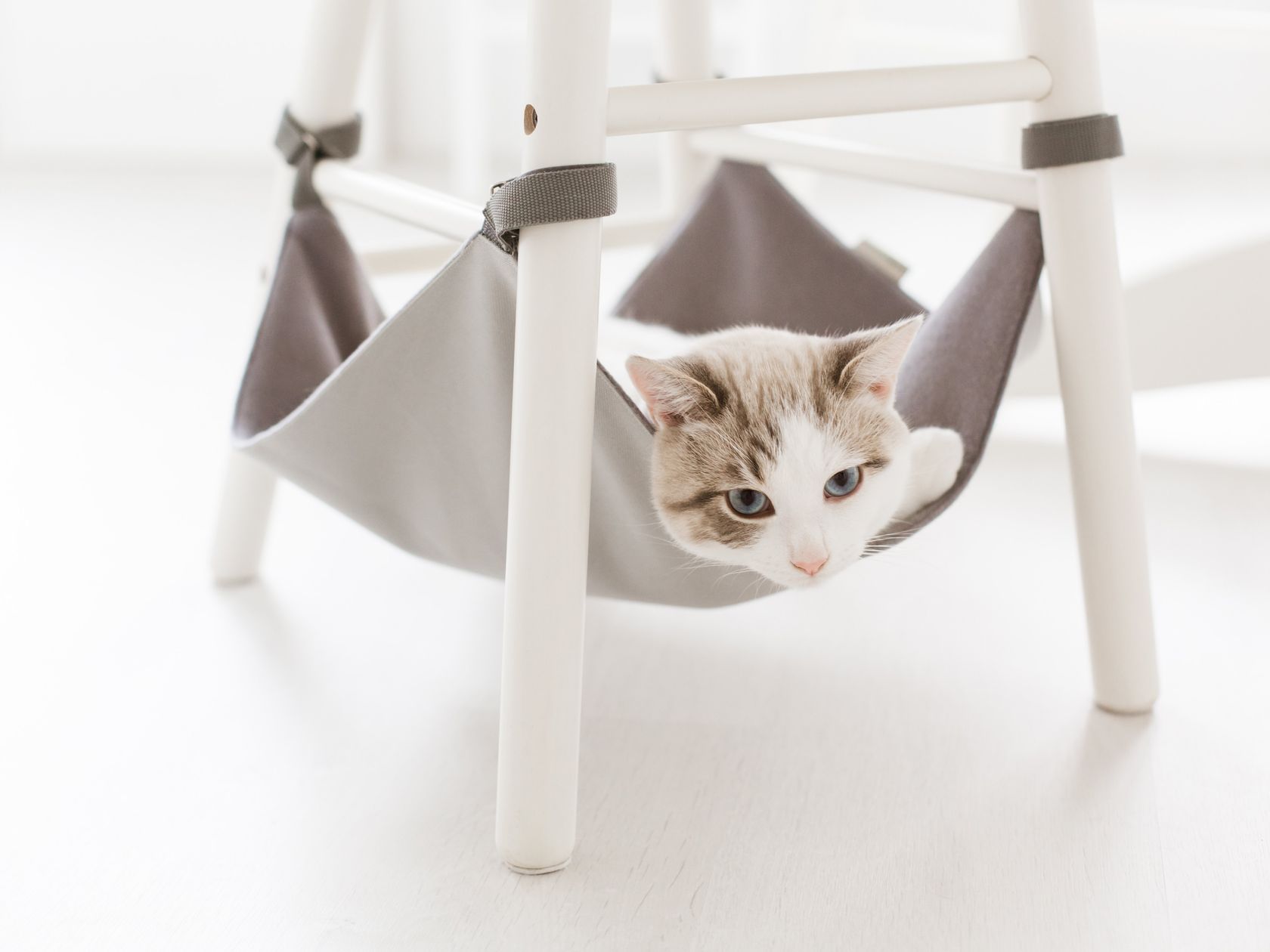 CHAIR HANGING MATS | Synthetic fibre cats hammock By Saveplace®