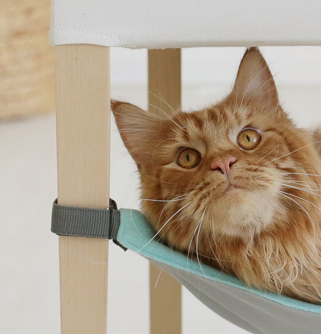 CHAIR HANGING MATS | Synthetic fibre cats hammock By Saveplace®