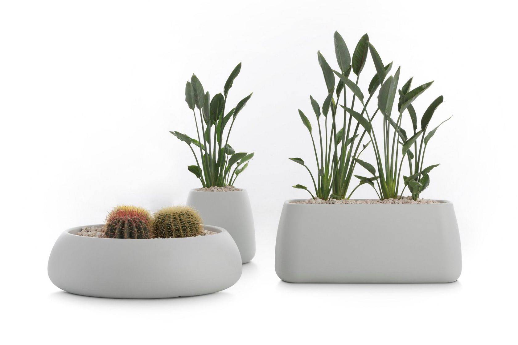 GOBI 4 | Planter Low round planter By Diabla | design Pablo Gironés