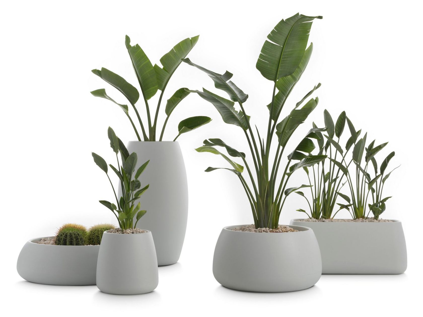 Fioriera bassa rotonda GOBI 4 | Fioriera Collezione Gobi By Diabla ...