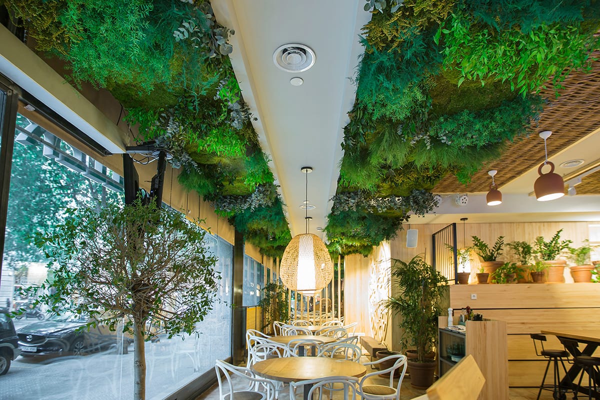 Techo vegetal en musgo y plantas estabilizadas GREEN CEILINGS By GREENAREA