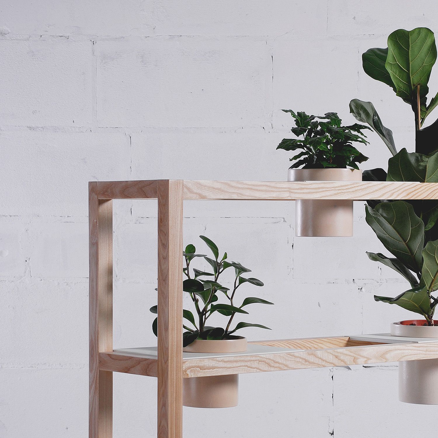 Ash plant pot HG STAND SET 1 HG Collection By ODESD2 design Dariya ...