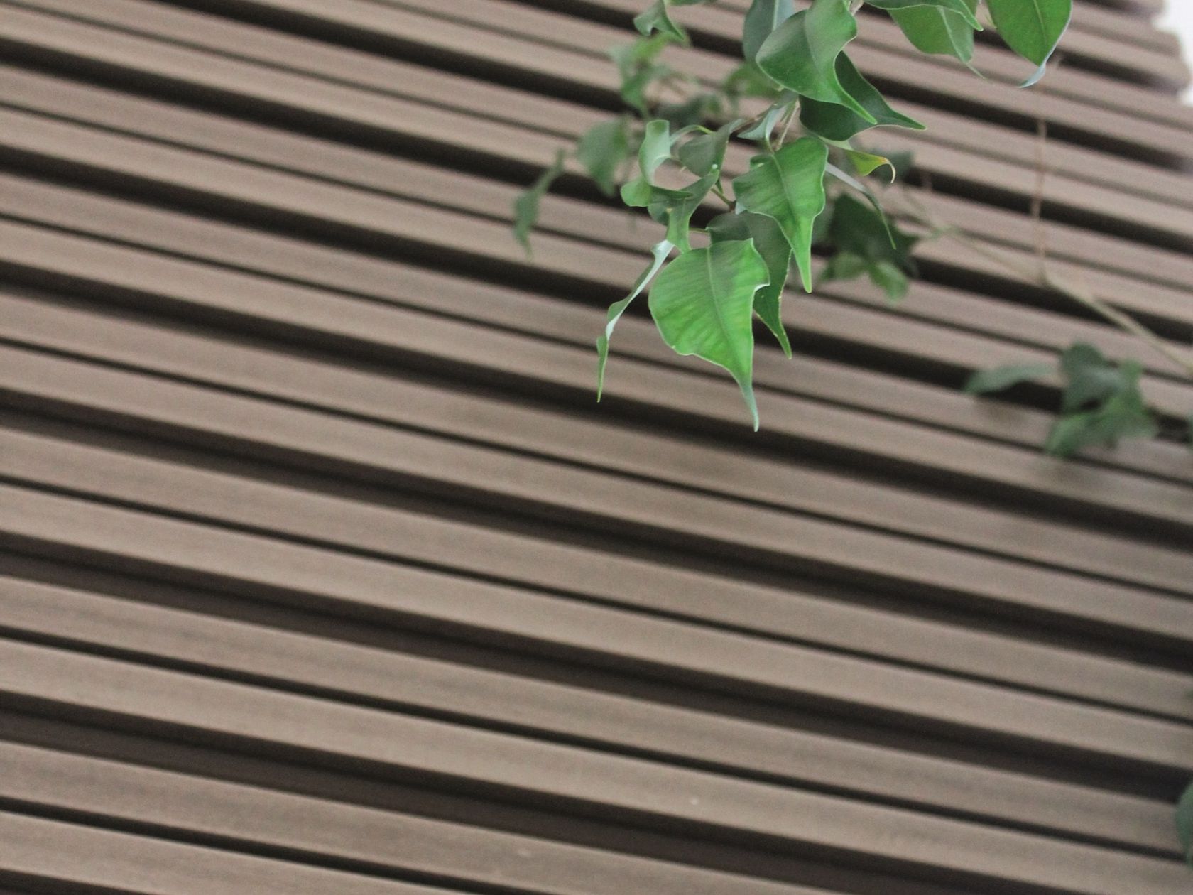 Composite wood profile plus profile 70x38 By plasticWOOD.it