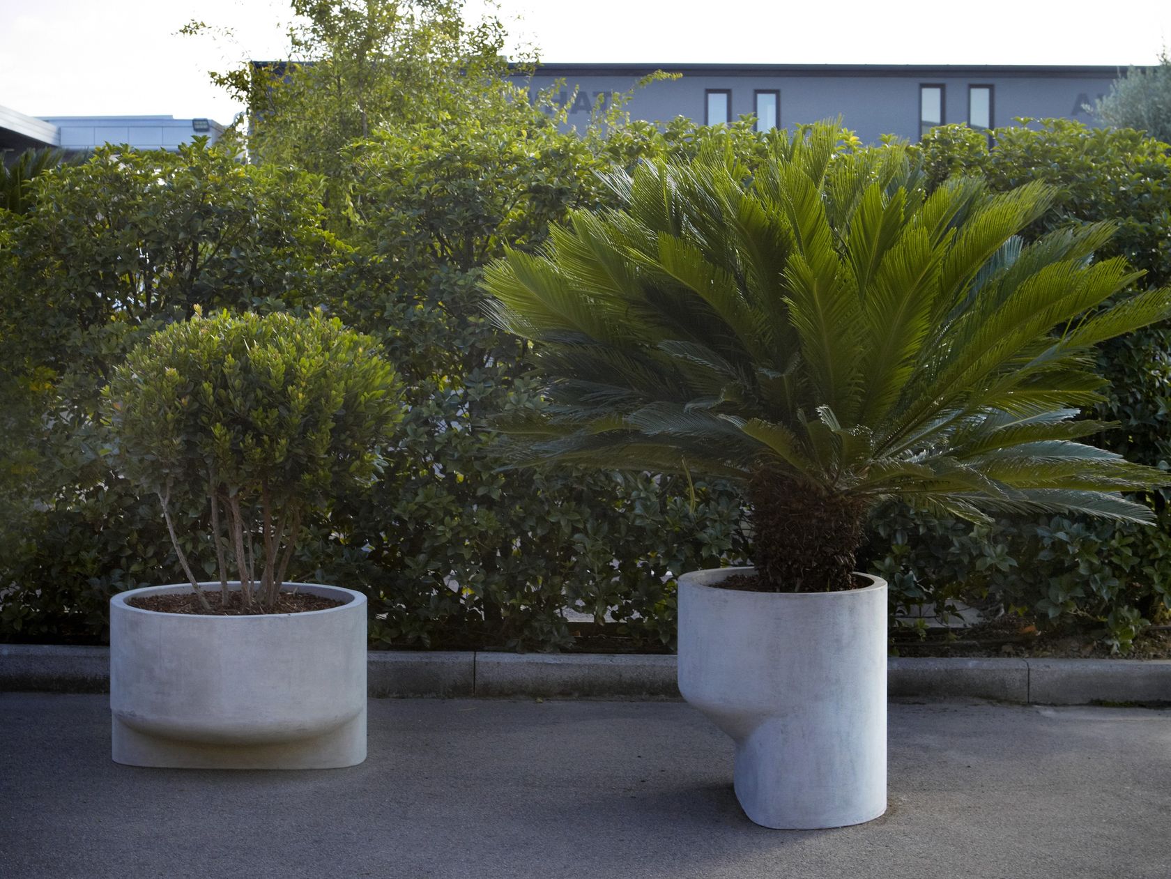 Pot de fleurs en ciment POLIFEMO Collection I Giganti By Antonio Lupi ...