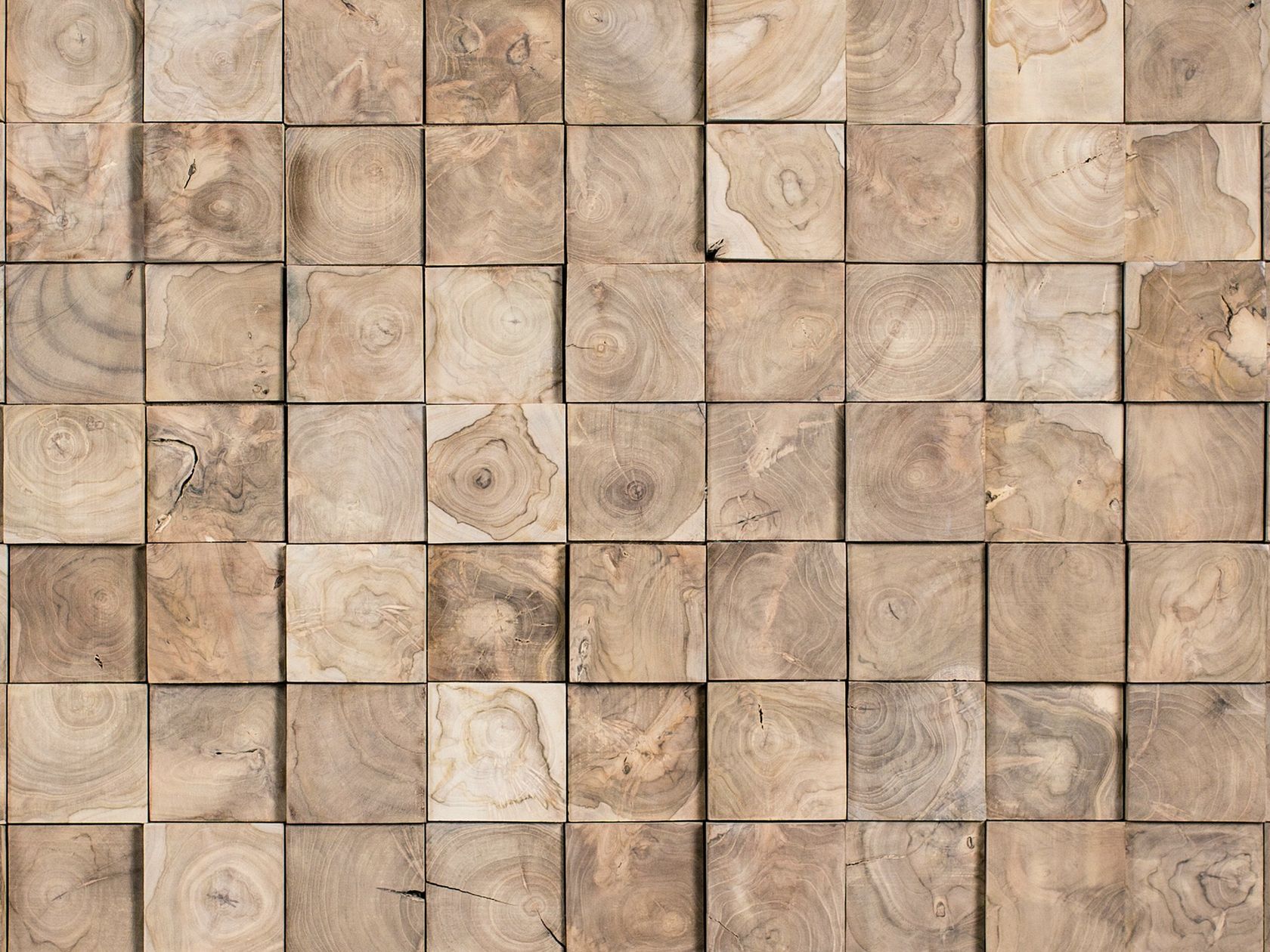 Indoor teak 3D Wall Cladding JUNGLE By Wonderwall Studios