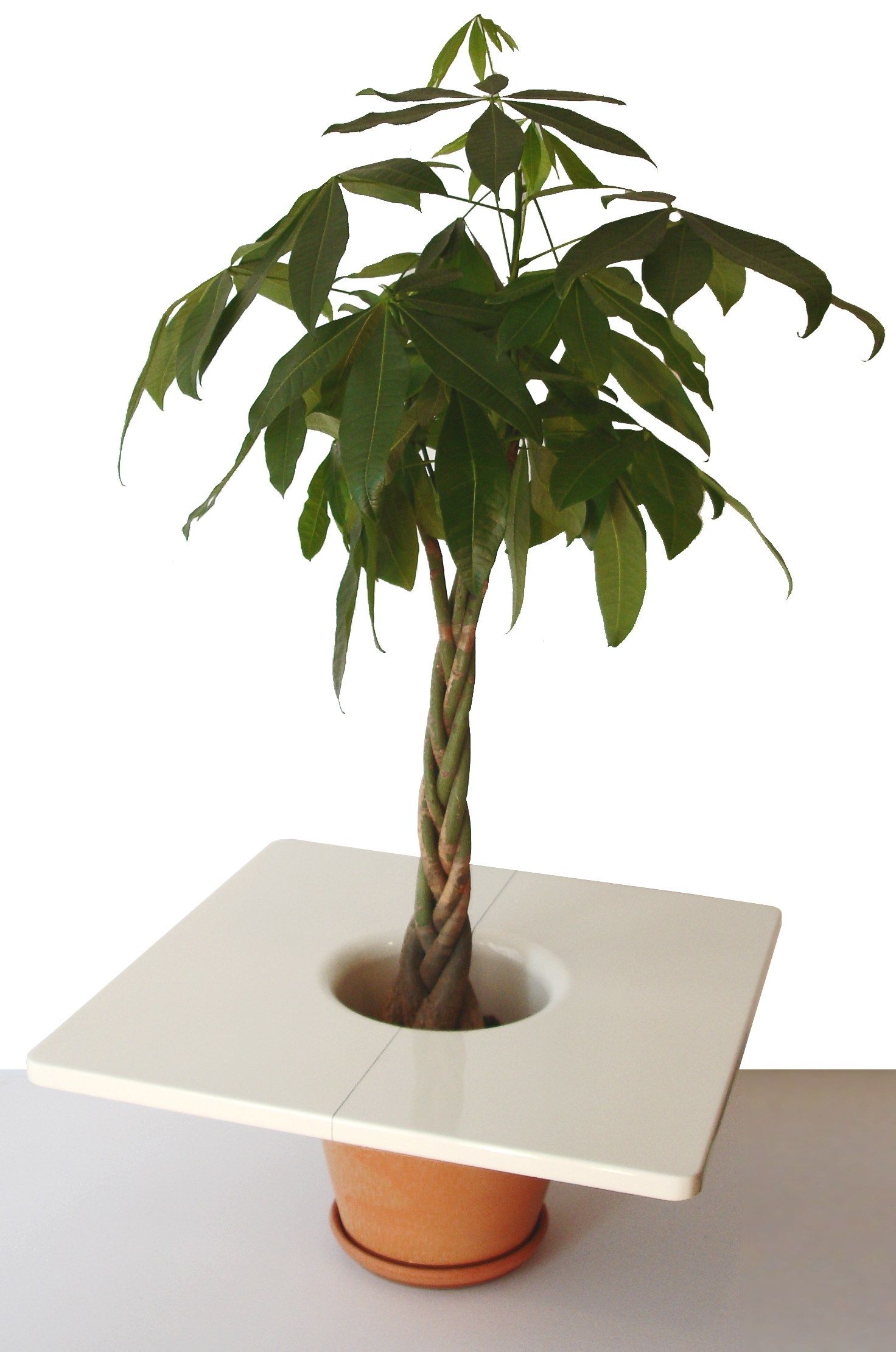 MDF vase TABLE-POT By Compagnie design Adrien Gardère