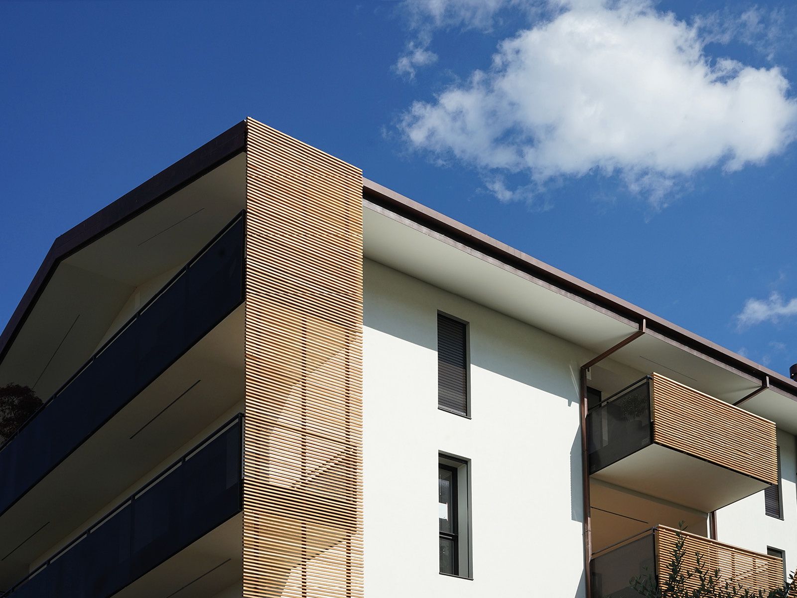 Ravaioli Legnami: Decking e pannelli in legno per facciate | Archiproducts